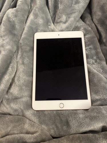 Apple iPad Mini (4.Generation) 64GB, WLAN, 20,06 cm (7,9 Zoll) - Gold ...