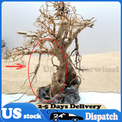 Natural Driftwood Aquarium Root Trunk Tree Fish Tank Landscape Plants ...