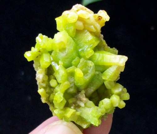 37mm HOPPER-SHAPE Green Pyromorphite from Daoping Guangxi China B4963 ...