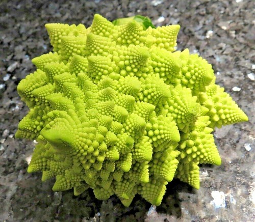 ROMANESCO 100+ seeds Cauliflower Broccoli Romanesque fractal vegetable ...