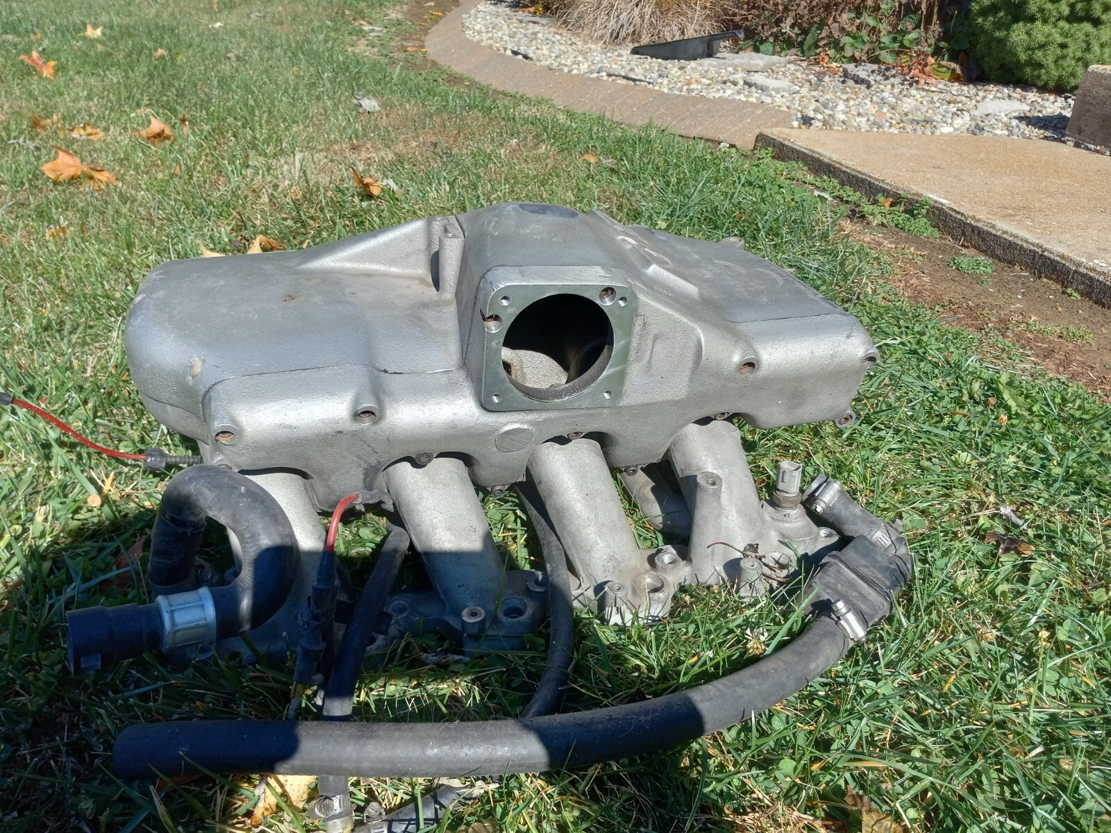 1999-2004 Ford Mustang 4.6L P51 Intake Manifold 2V GT Cobra Trickflow ...