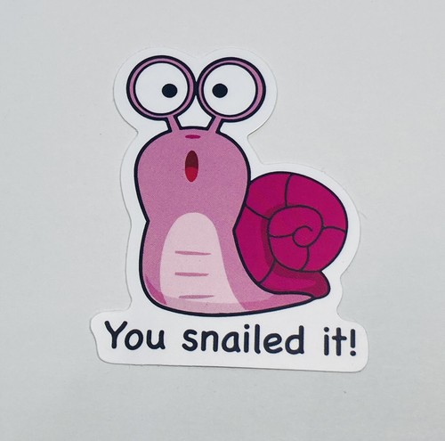 Cute Animal Sticker “You Snailed It!!” Inspirational Kids Journal Art ...