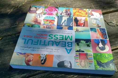 A Beautiful Mess Photo Idea Book paperback Elise Larson & Emma Chapman ...