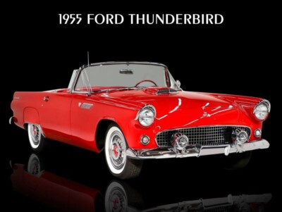 1955 Ford Thunderbird Metal Sign Lg. Size, 12x16: Classic Red ...