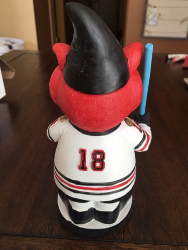 Rockford Icehogs Hammy Hog Hockey Mascot Garden Gnome Star Wars ...