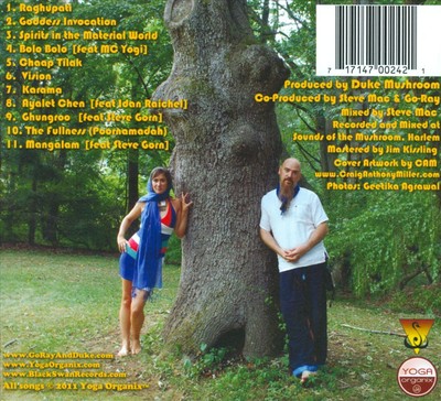 GO-RAY & DUKE - THE YOGA SESSIONS: GO-RAY & DUKE [DIGIPAK] NEW CD ...