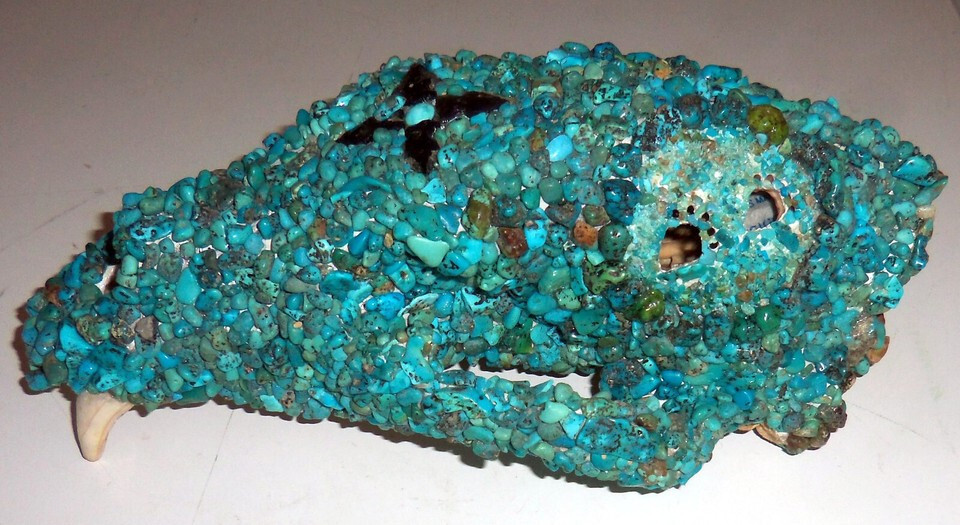 Vintage Turquoise Covered Predator Skull Southwest Native American ...