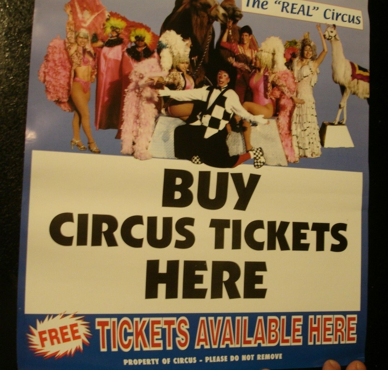 Three Ring Circus Tent
