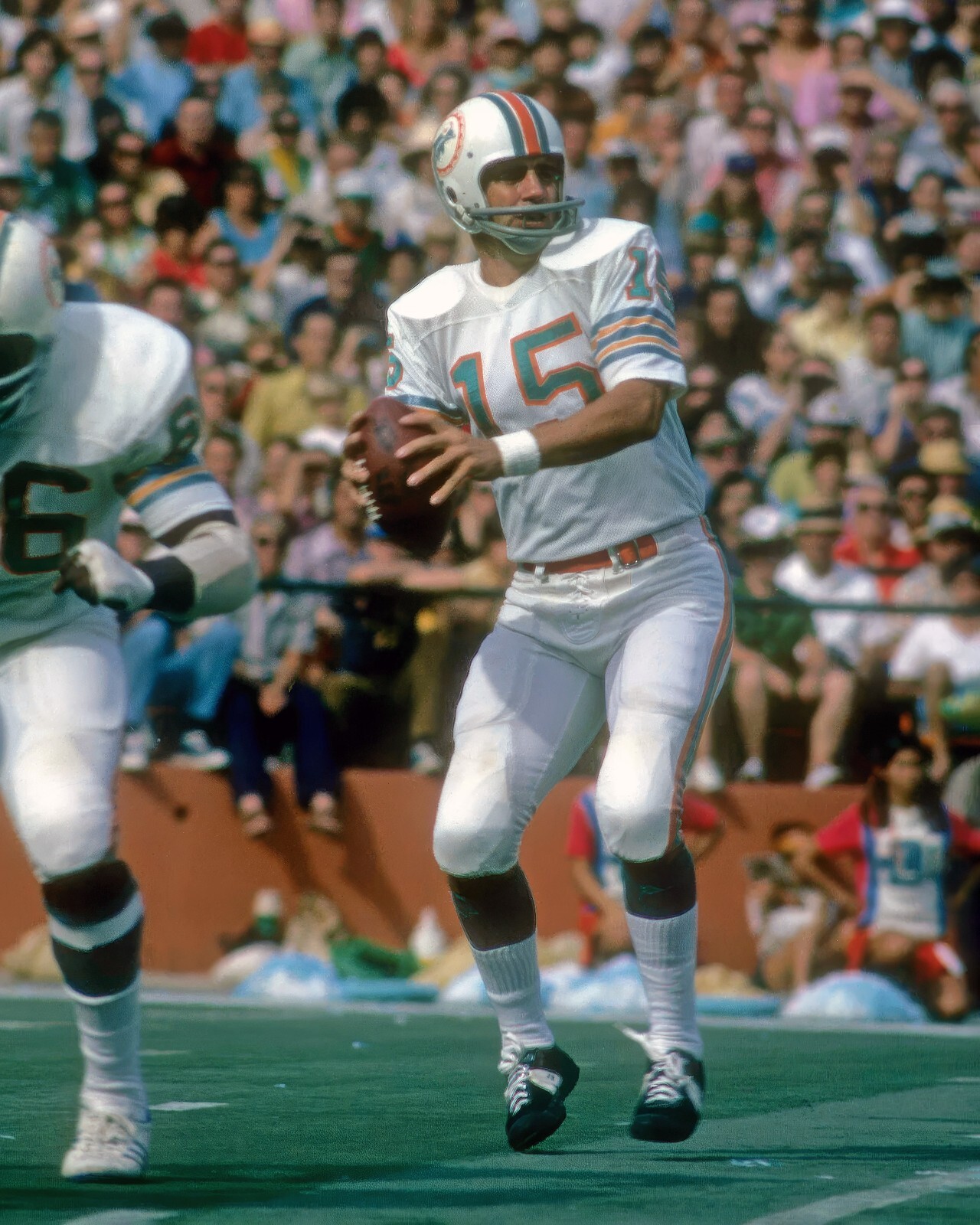 Earl Morrall #15 Miami Dolphins NFL 8"X10" Glossy Photo Print 7-QQR | eBay