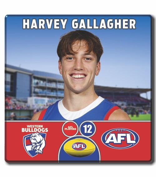 2024 AFL Western Bulldogs Football Club - GALLAGHER, Harvey | eBay