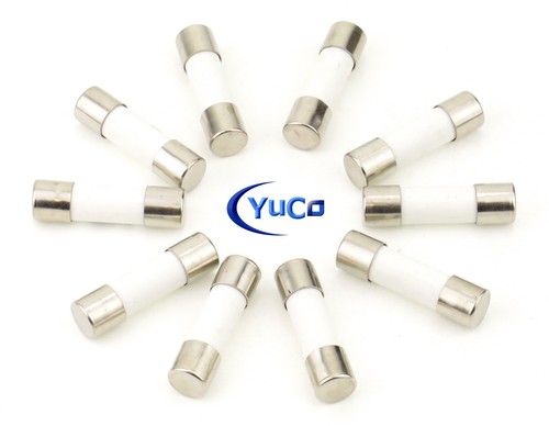 (10) YC-ATQ-20 Time-Delay Cartridge Midget Fuse ATQ 20 FNQ FLQ MEQ 500V ...