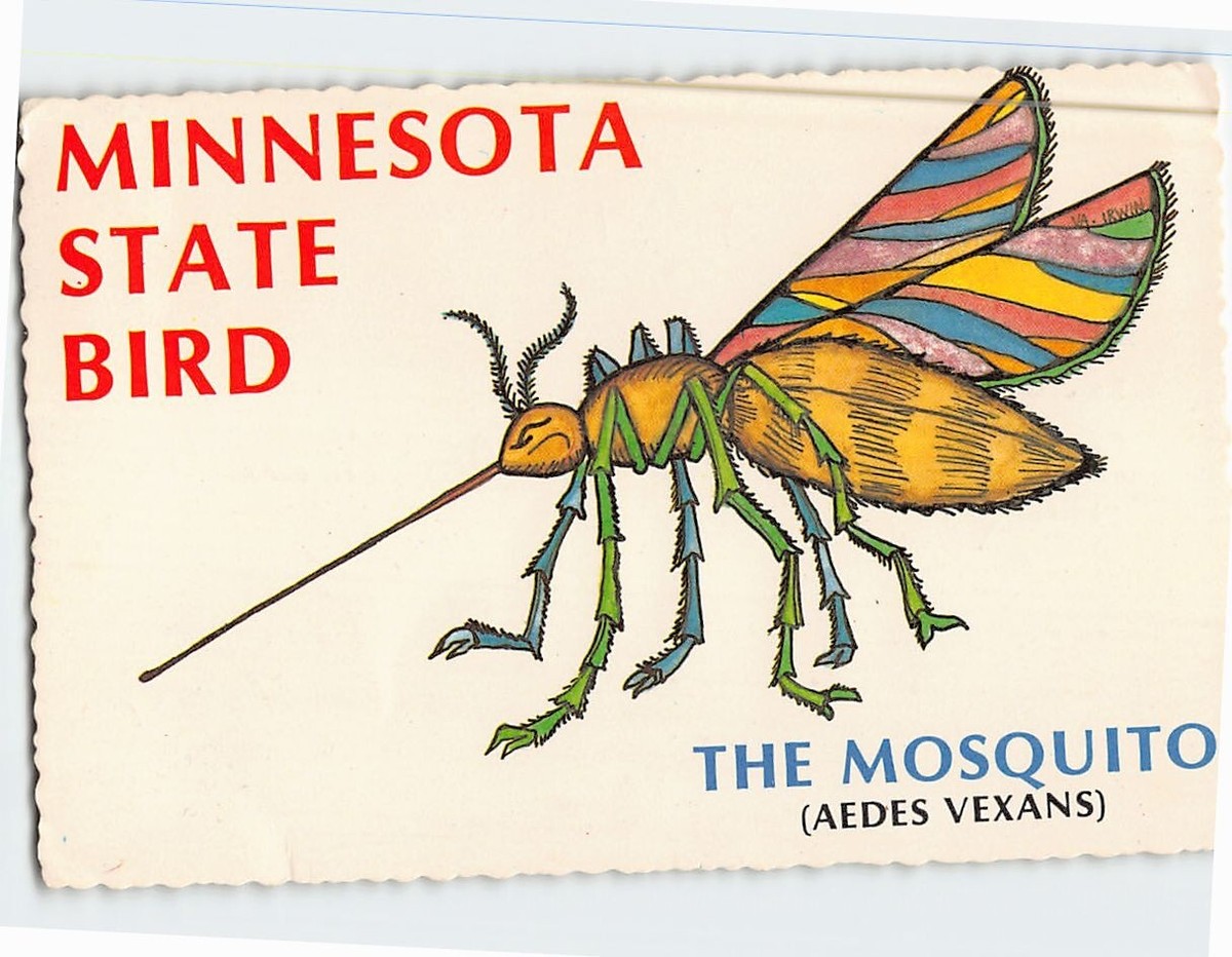 Minnesota State Insect