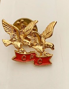 CFC Combined Federal Campaign Double Eagle Goldtone & Enamel Pin | eBay