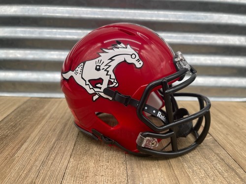 2023 CFL Calgary Stampeders National Truth & Rec. Day Speed Mini Helmet ...