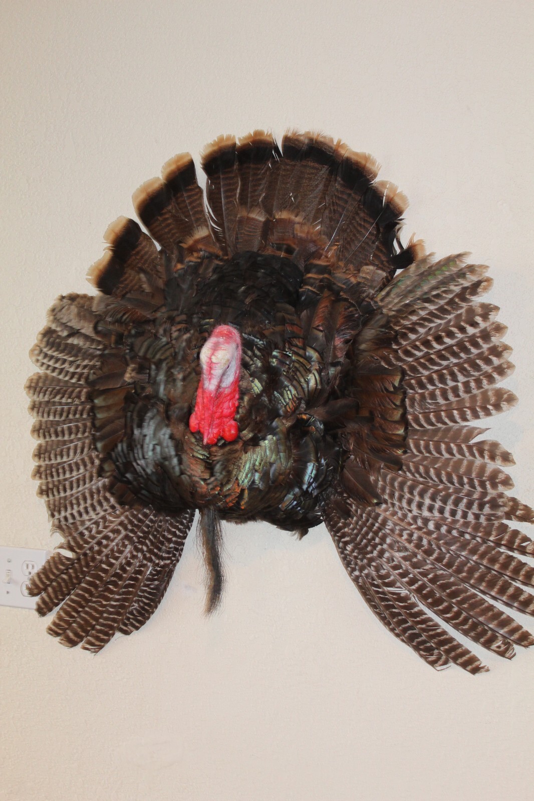 Turkey Mount Taxidermy Tom Jake Whitetail Deer Shed Antler Log Cabin ...