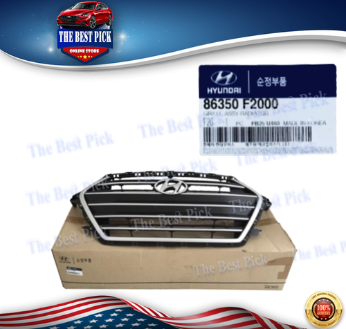 ⭐GENUINE⭐ FRONT RADIATOR GRILLE for 2017-2018 Hyundai ELANTRA ...