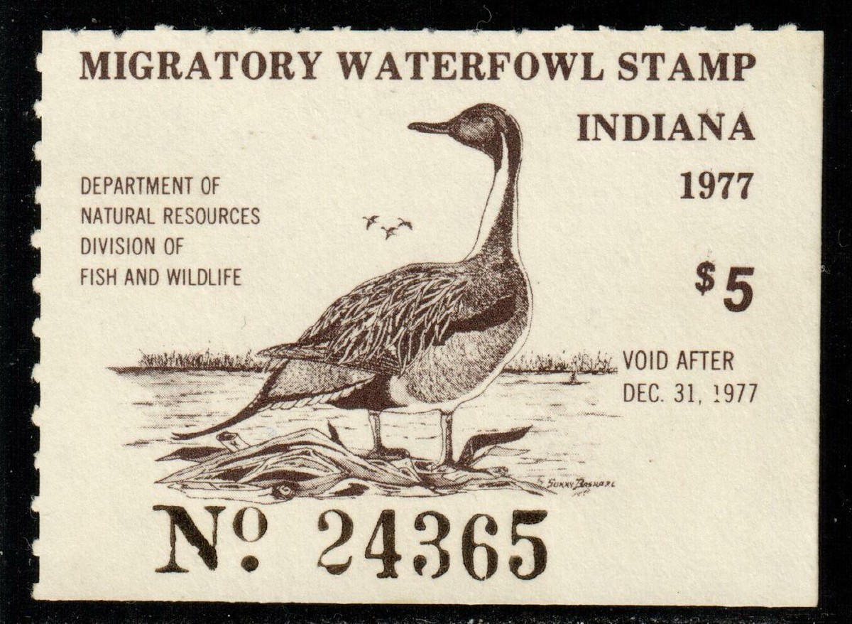 Goose Hunting Indiana All Inclusive Waterfowl Hunting Packages | South