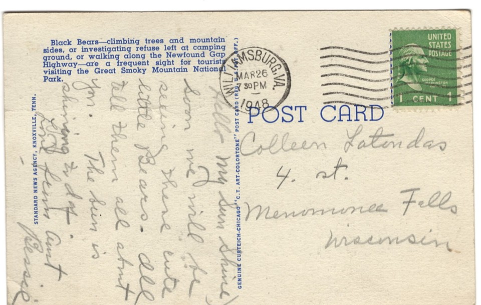 1948 Color Linen Postcard Black Bears on Automobile #1045 Great Smokey ...