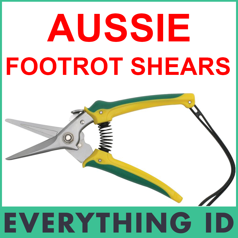 AUSSIE HOOF SHEARS FOOT ROT FEET TRIMMING SHEEP GOATS HOOVES CLIPPERS ...