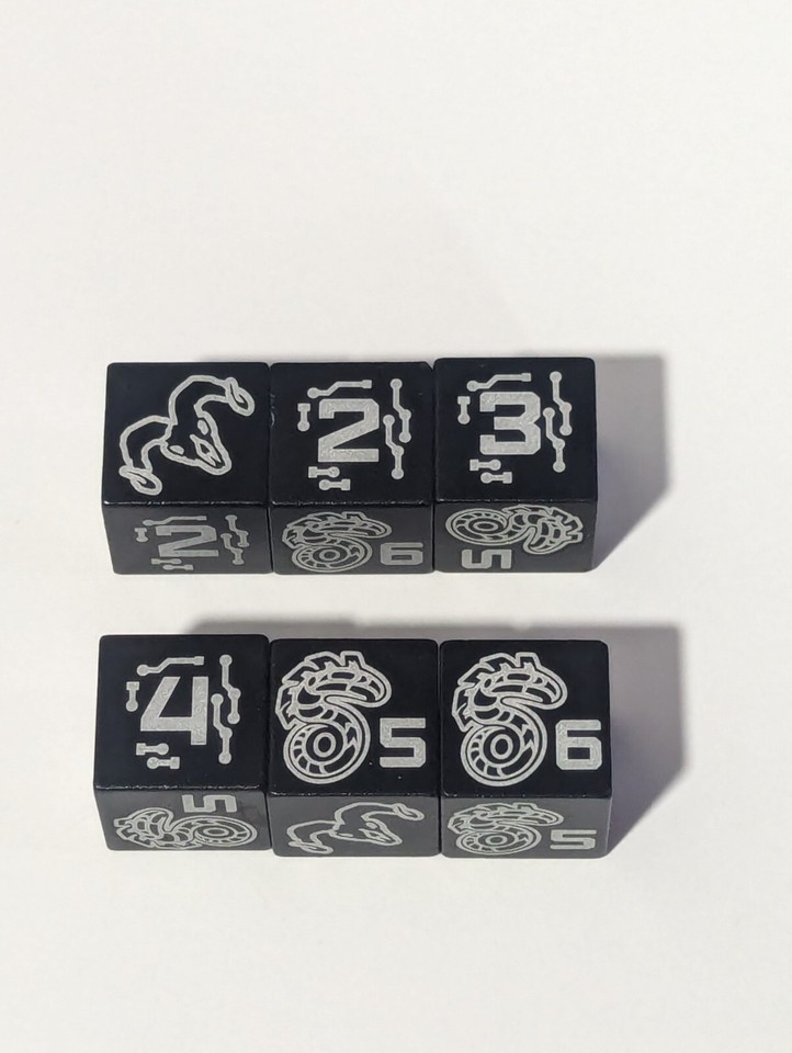 Shadowrun Executive Metal Dice With Out Channel case | eBay