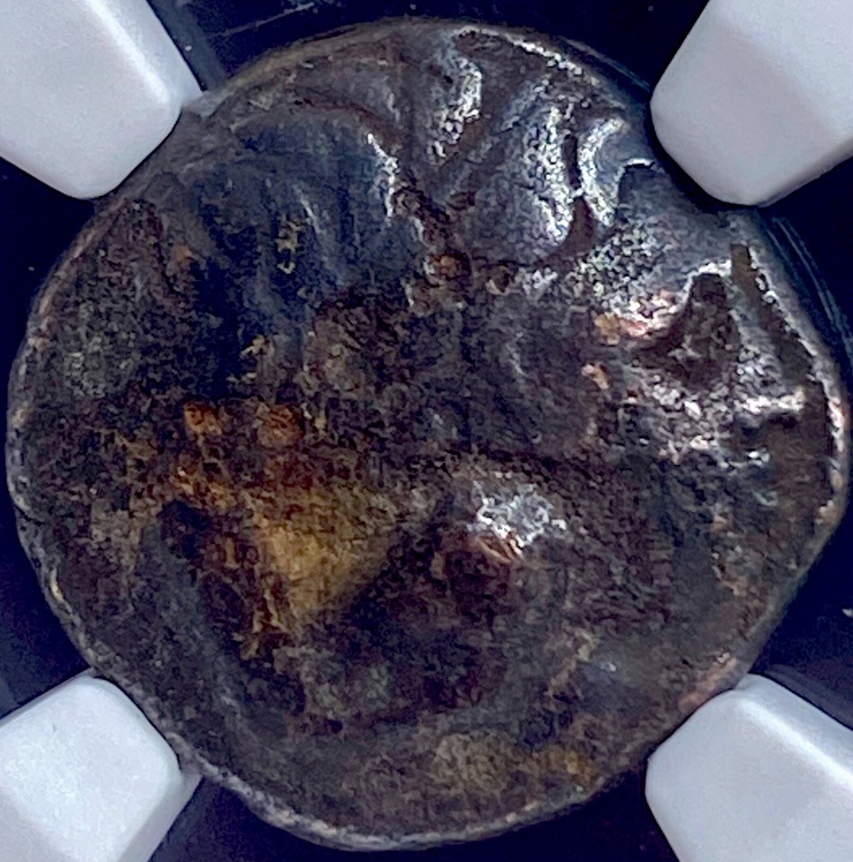 NGC Greek Kingdom of Macedon Philip II 359-336 BC Coin Nice Details ...