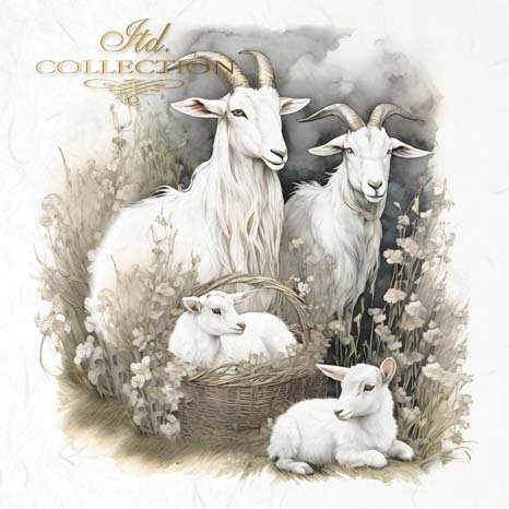 Sheep & Goats | 6" x 6" | Mini Decoupage Rice Paper Set | ITD ...
