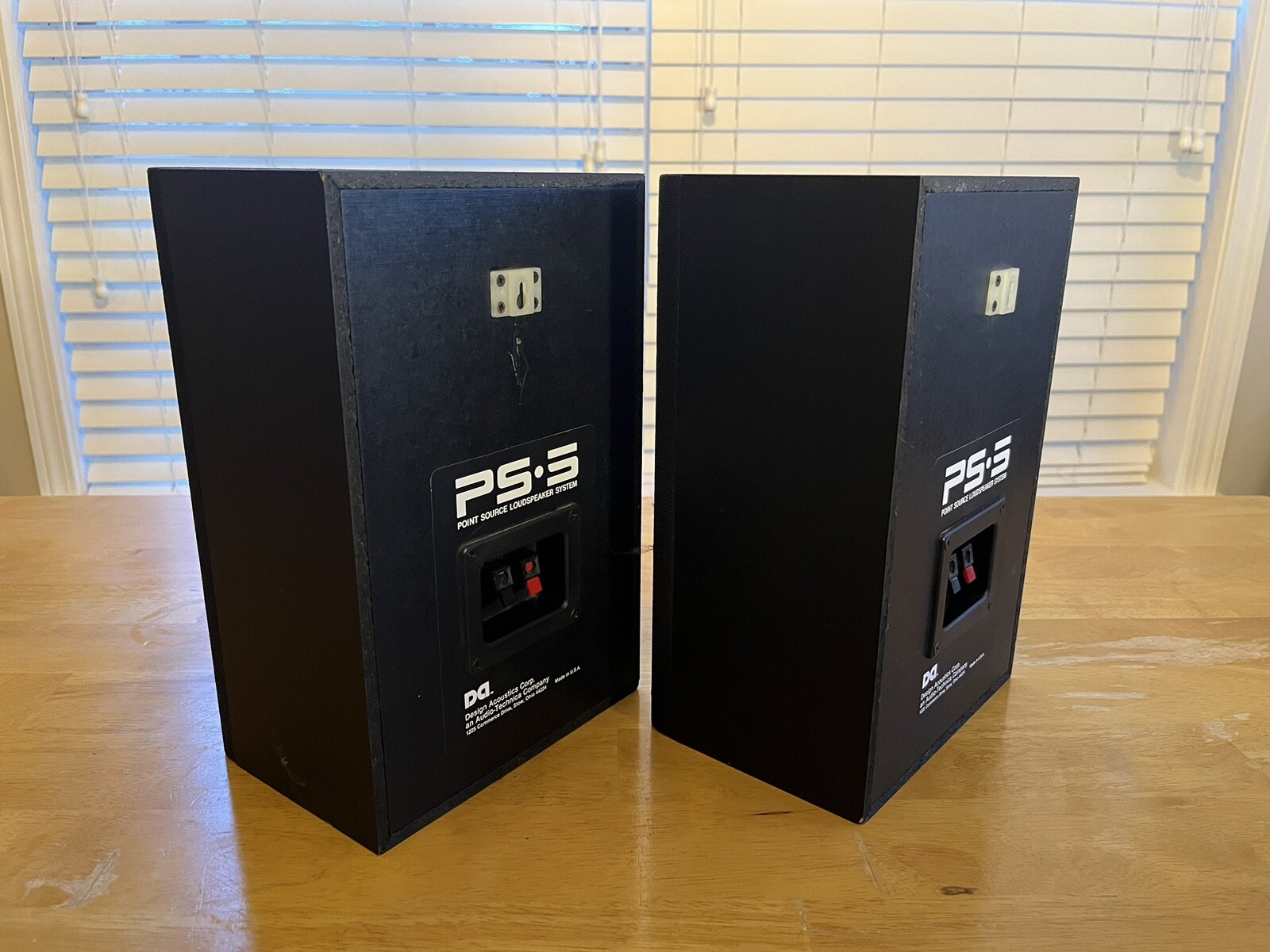 DESIGN ACOUSTICS Point Source PS.5 Pair of Speakers — Black — Untested ...