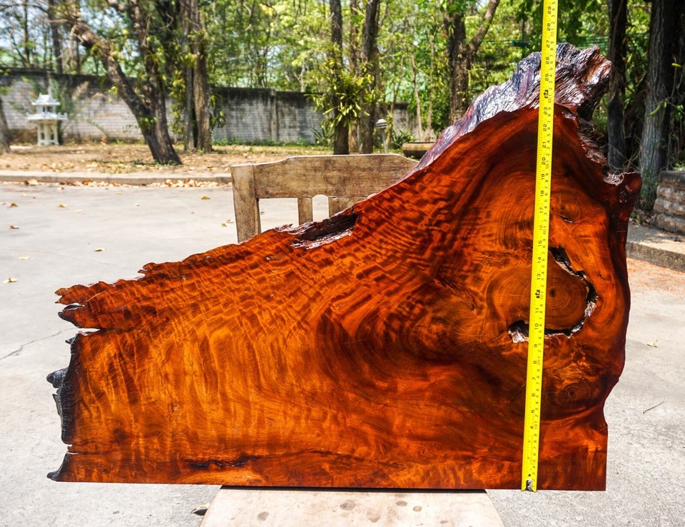 Rare!! AMBOYNA BURL LUMBER Wood Live Edge Natural Slab Epoxy Table ...