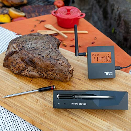 MeatStick WiFi Bridge Set | 2-Probe Package | Smart Wireless Meat ...