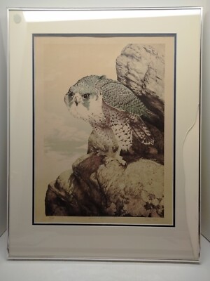Charles Rowe “Peregrine Falcon” Bird Artwork Signed and Numbered by The ...