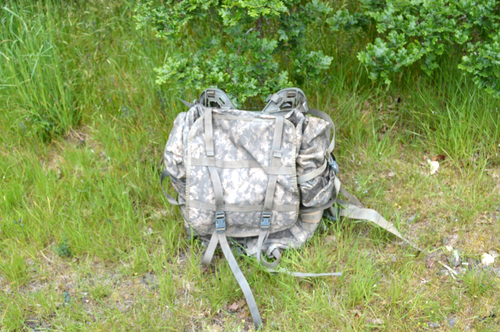 US MILITARY MOLLE II Large Rucksack Field Pack Complete Frame Pouches ...