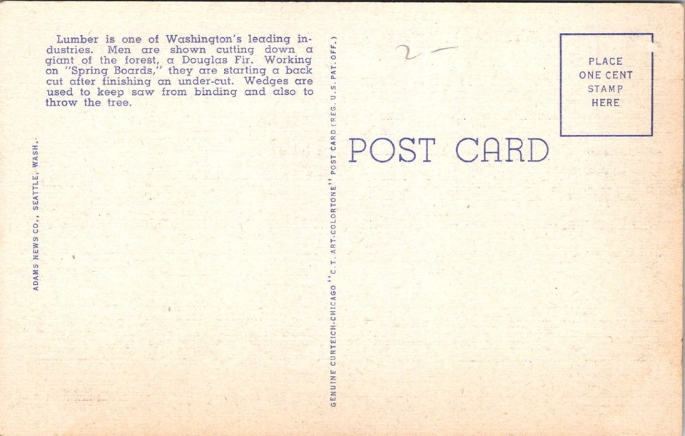 Lumberjacks Springboards Cutting Giant Fir Tree Washington Postcard B44 ...