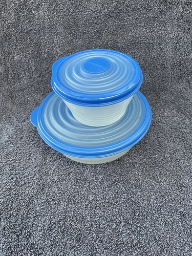 Tupperware Blue Lid x 2 Stuffables 500ml 4 Cups Containers | eBay Australia