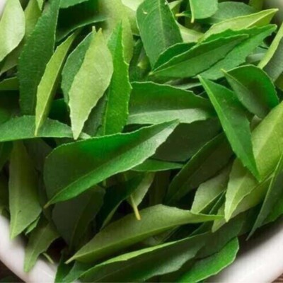 Herbal Tea Curry Leaves Ceylon Natural Organic Quality Dried Murraya Koenicll | eBay