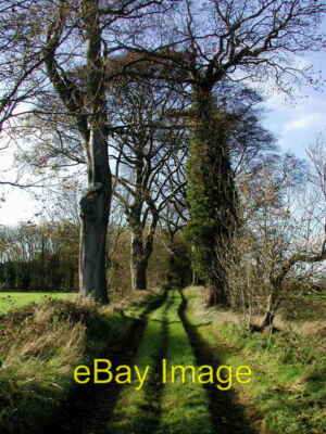 Photo 6x4 Welton Wold Riplingham Looking west towards Ten Acre Belt ...