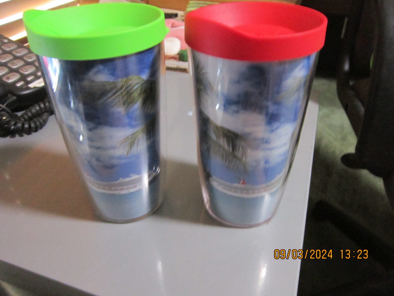 Carnival Cruise Tervis Cup Set of Two #1, Please Read Listing, No ...