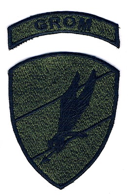 Polish Special Force GROM unit shield + tab patch badge ARMY MILITARY ...