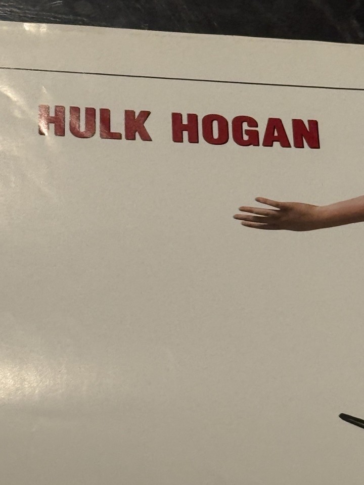 1991 Suburban Commando Original 27x41 Movie Poster Hulk Hogan | eBay UK