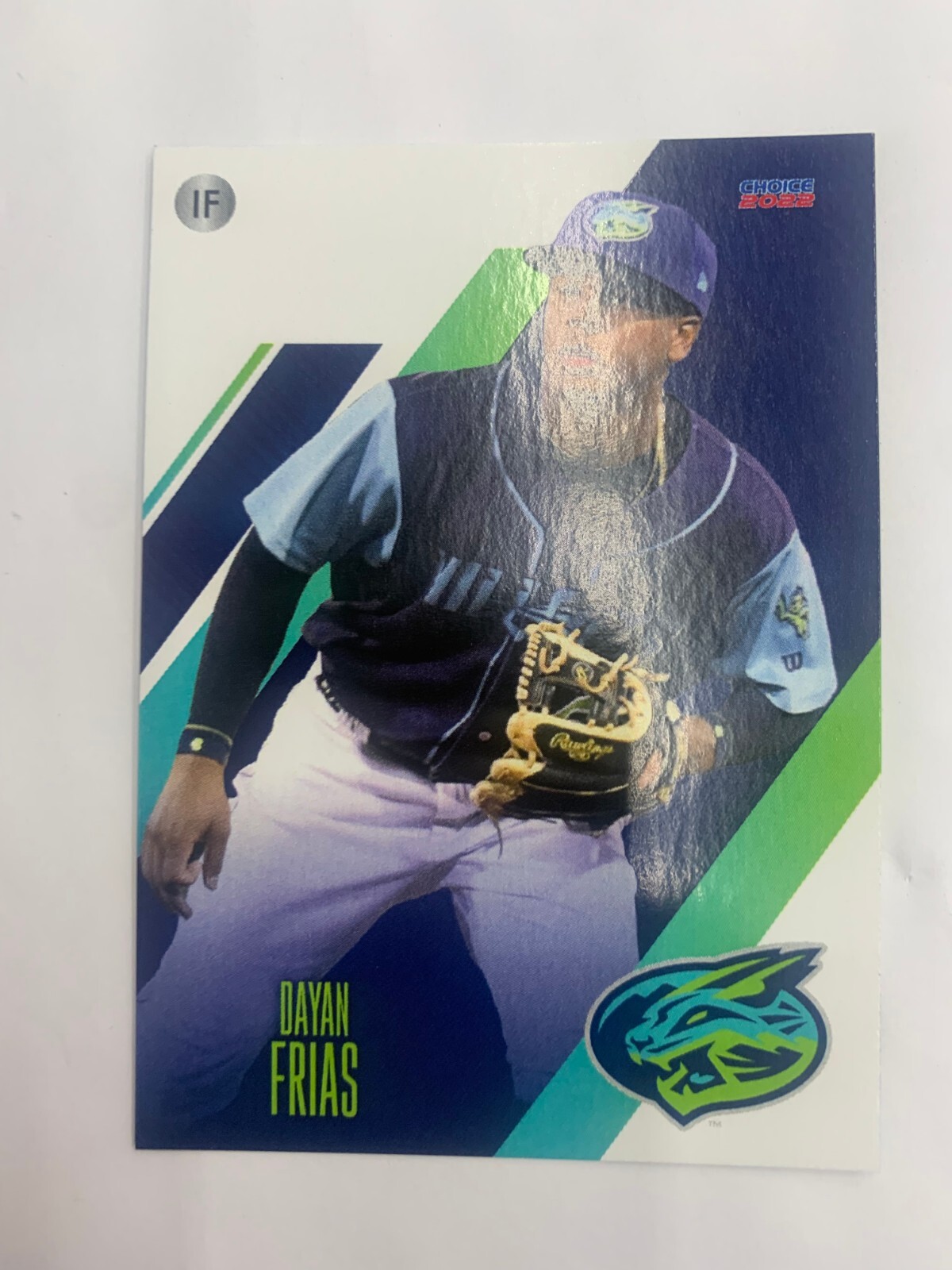Dayan Frias Card 2022 Lynchburg Hill Cats Team Card | eBay