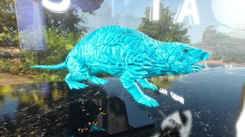 ARK ASA PVE OFFICIAL PAIR BABY ROLL RAT CYAN #05 ABB TOP STATUS PC/XBOX ...