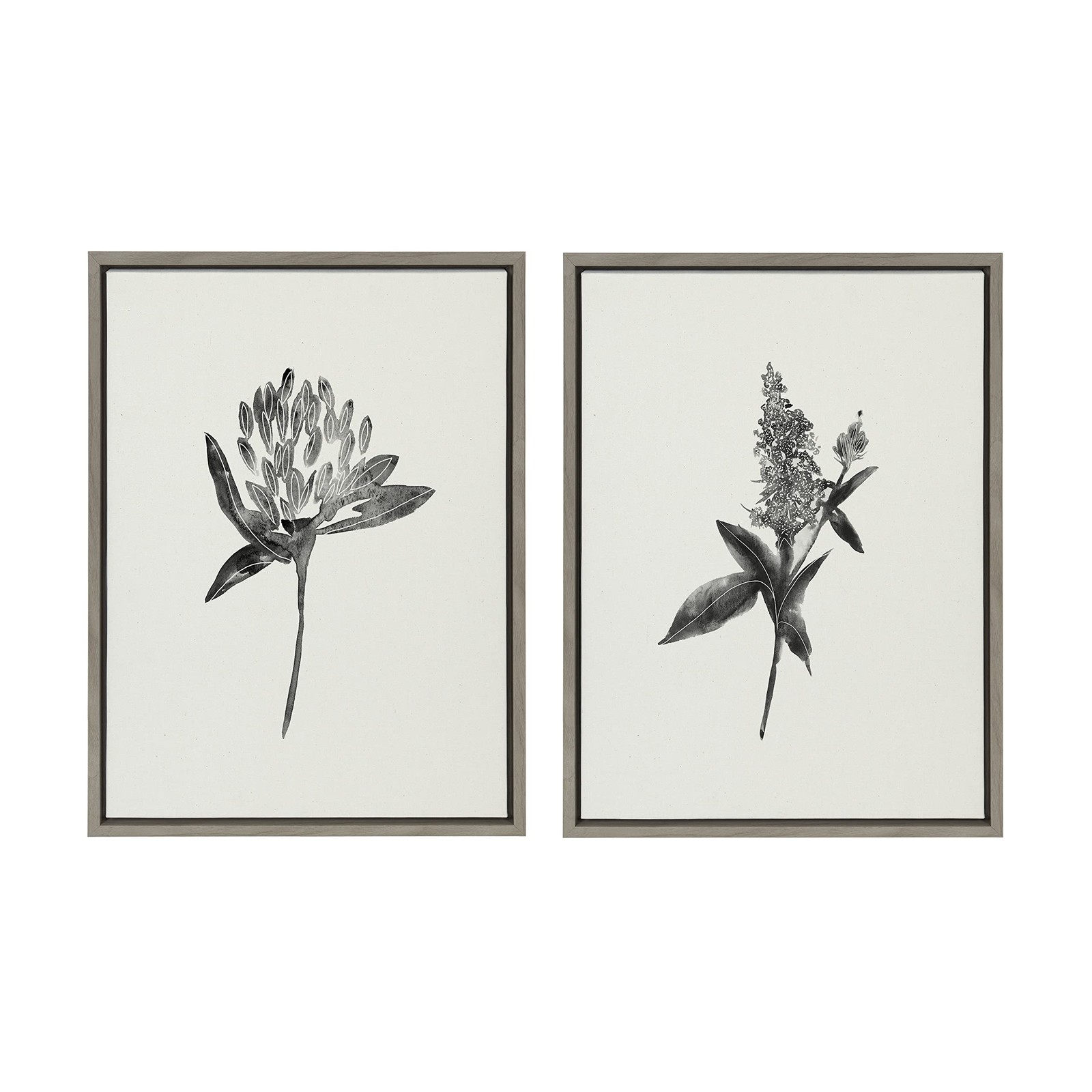 Sylvie Vintage Botanical 1 and 2 Linen Canvas Wall Art by Teju Reval of ...