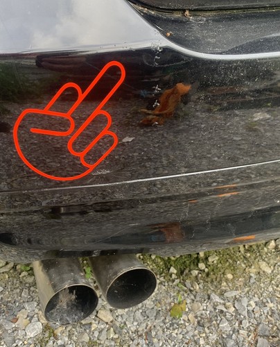 Car Decals Stickers Middle Finger Shocker | eBay Australia