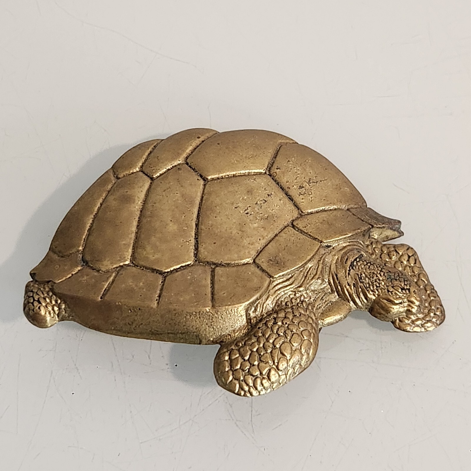 Turtle Belt Buckle Iconic 70s Brass Nautical Hippie B… - Gem