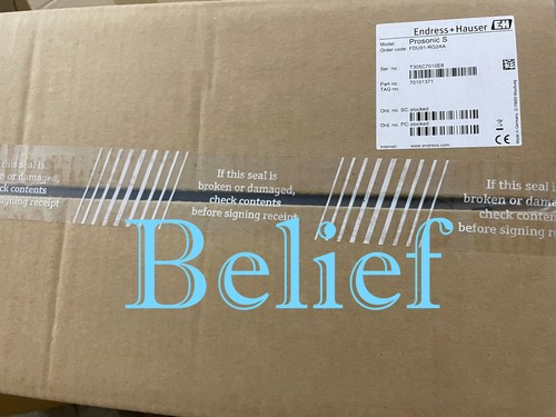 E+H FDU91-RG2AA Split Ultrasonic Level Gauge Probe Fast delivery； | eBay