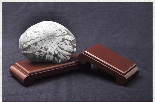 12x7x4cm Mini Rectangular Wooden Mame Shohin Bonsai Stand for Display ...