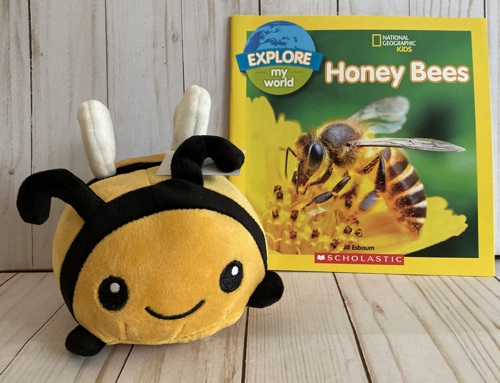 Bumblebee Stuffed Animal Plush Toy + National Geographic Kids Honey Bee ...
