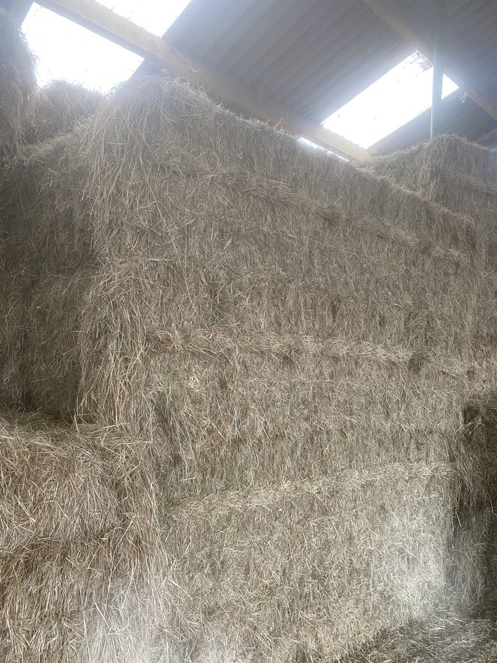 hay bales 6 String 2024 | eBay UK