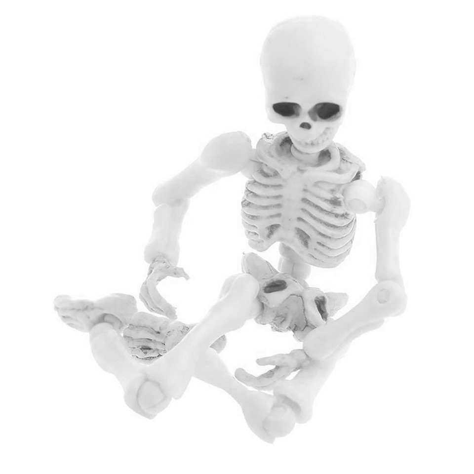 1PC Movable Skeleton Human Model Skull Full Body Mini Figure Toy ...