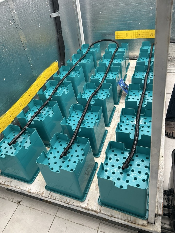 AirCube Active Oxygen Ebb and Flow Grow System - 36 Site | eBay