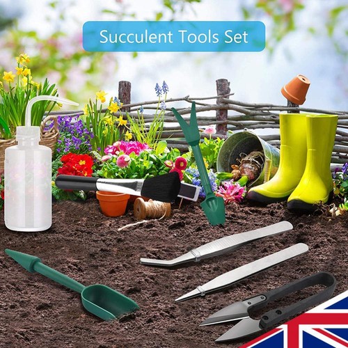 Succulents Transplanting Seedling Fertilizer Garden Lifter with Label ...